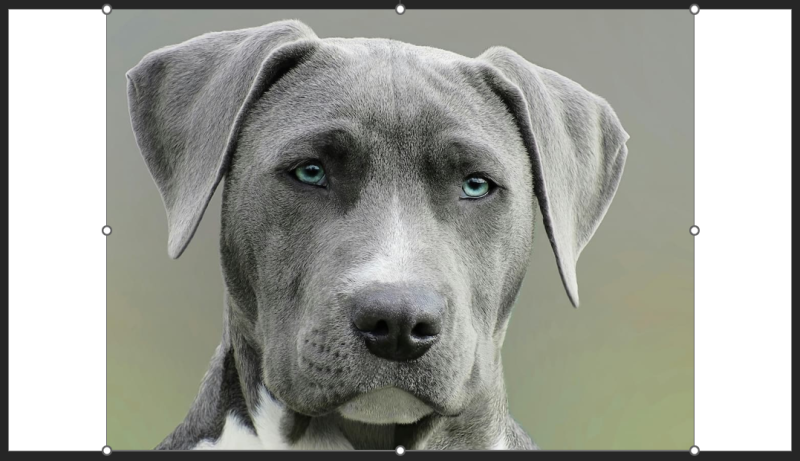 How to Create Parallax Scrolling Slides in PPT - SlideBazaar Blog