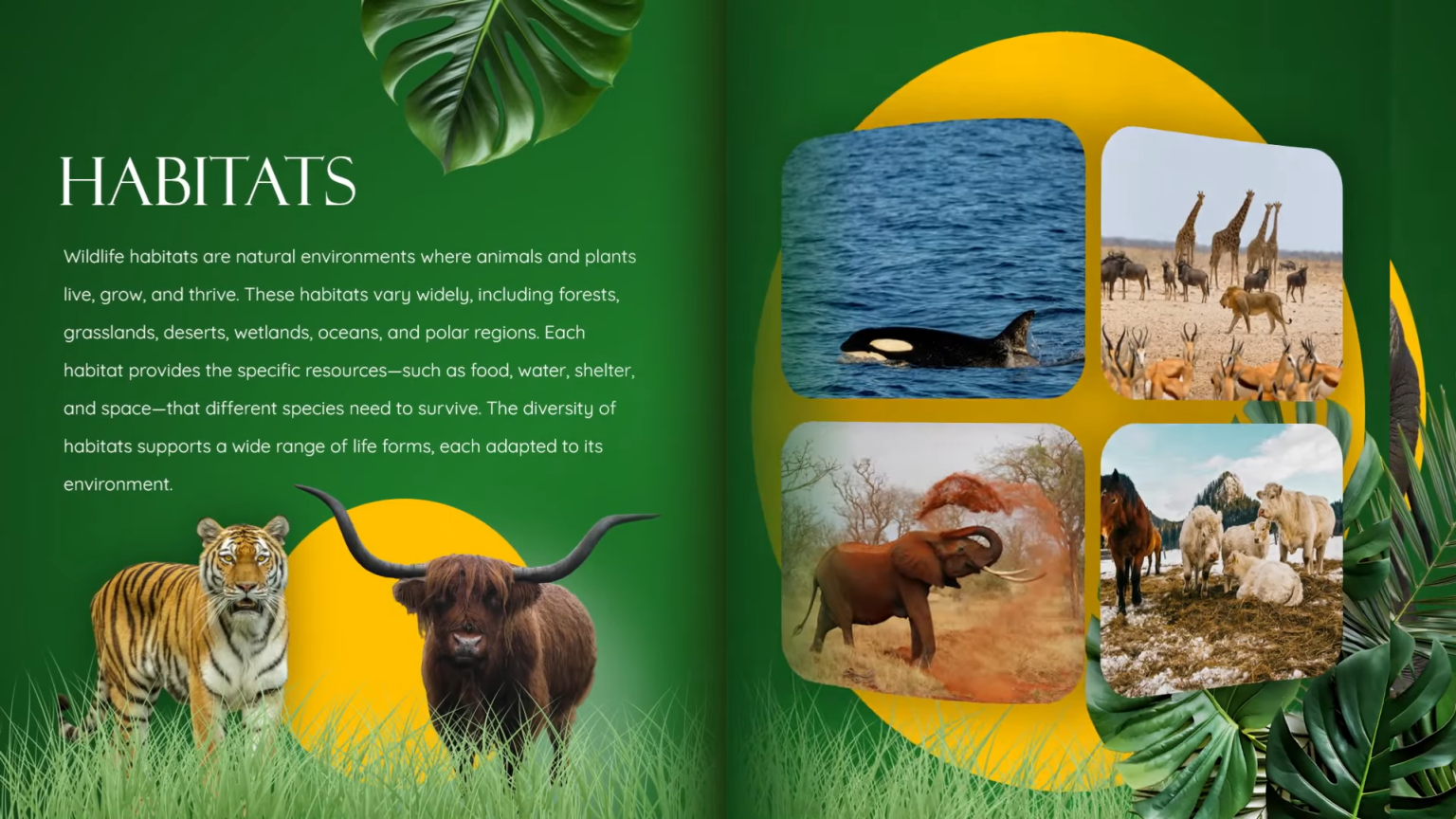 How to Create Page-Flipping Animation in PowerPoint - SlideBazaar Blog