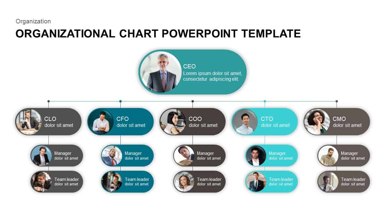 Organizational Chart PowerPoint Template Keynote Slidebazaar