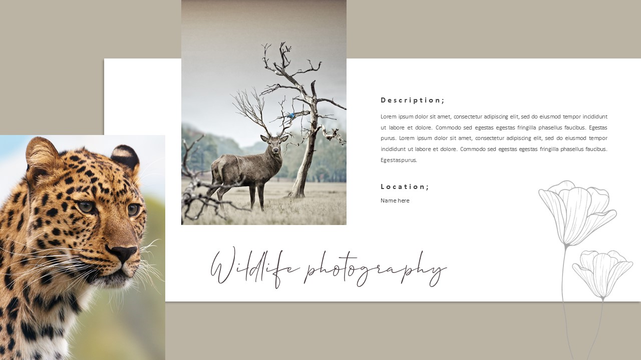 Photography Portfolio PowerPoint Template | Slidebazaar