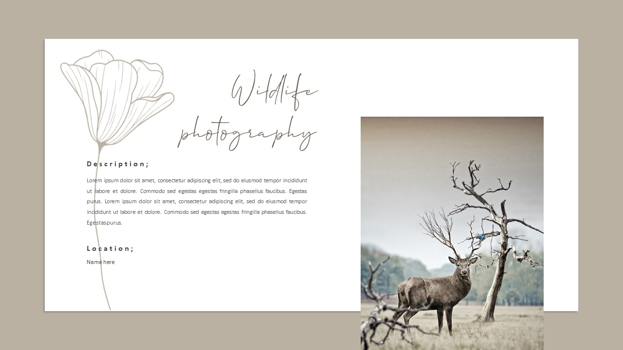 Photography Portfolio PowerPoint Template | Slidebazaar