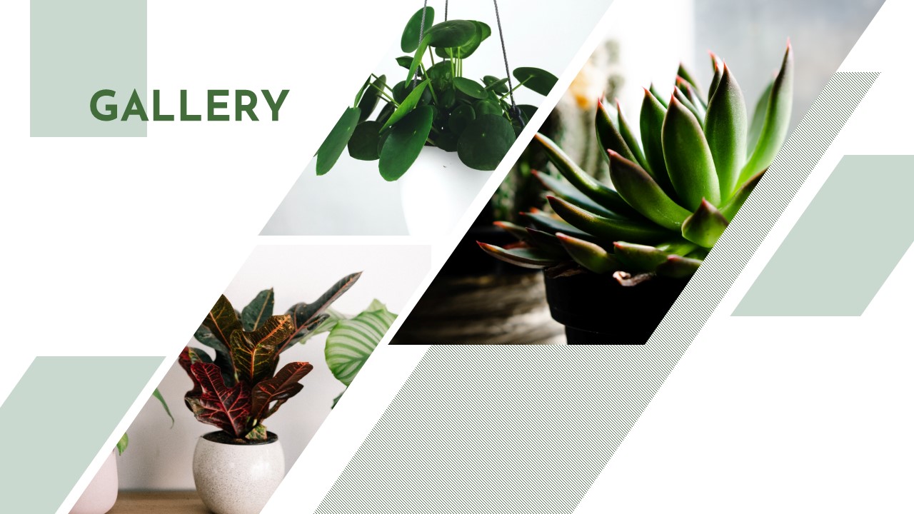 Green Square Business PowerPoint Template